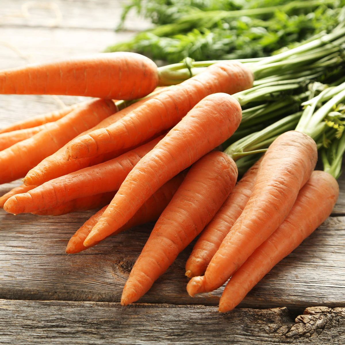 Carrot-Based Herbal Medicine Shown To Improve Muscle Atrophy – Built ...